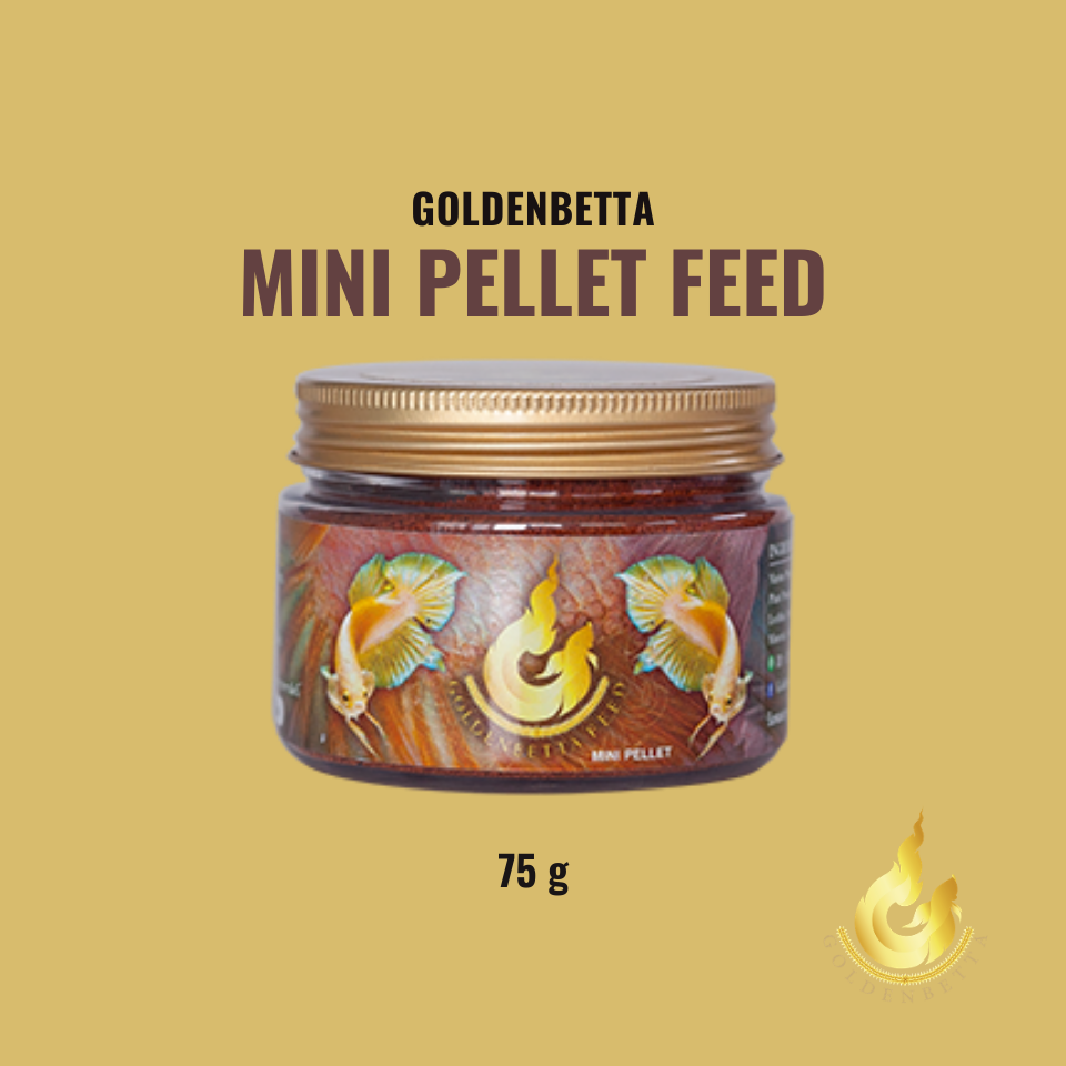 GoldenBetta: Mini Pellet Feed | Bob's Tropical Fish © 2021